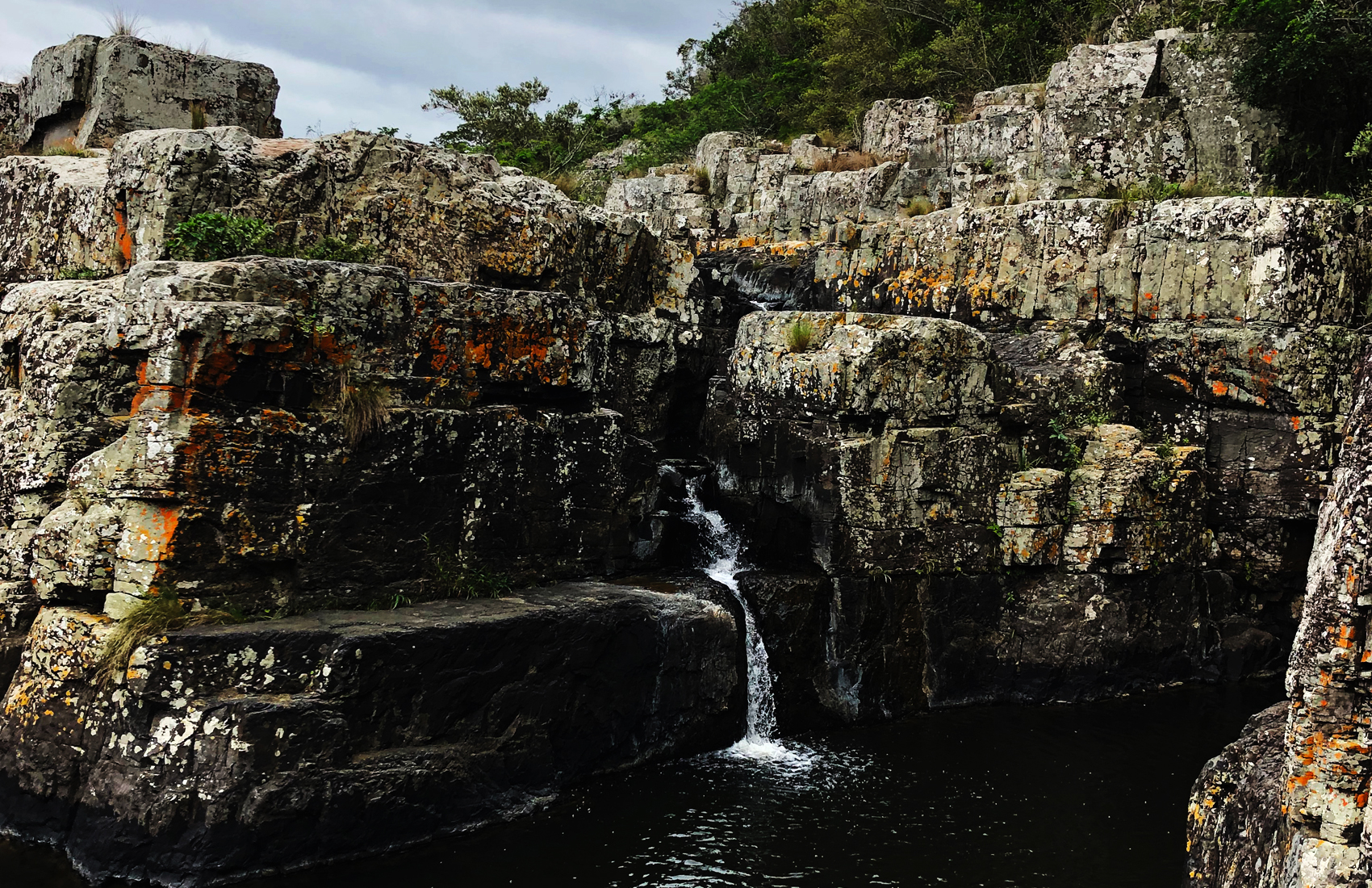 Trevor's Trails at Trennerys - Great Kei Adventures